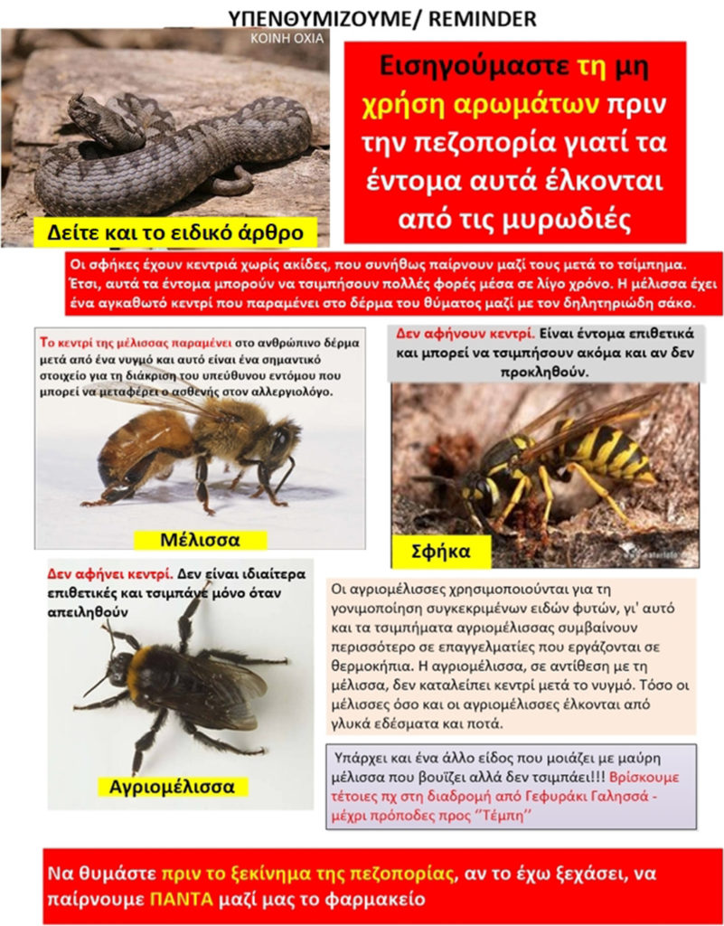 hikingteam.gr | Τσίμπημα Μέλισσας – Σφήκας – Οχιάς